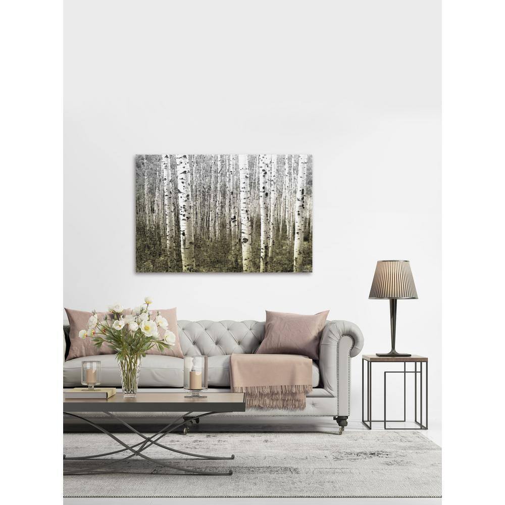PARVEZ MICHEL INC 30 in. H x 45 in. W "Aspen Highlands" by Parvez Taj ...