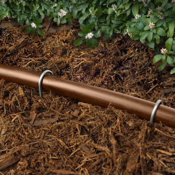 Vigoro 6 in. X 1 in. Galvanized Drip Irrigation Stakes (100-pack ...