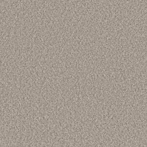 Home Decorators Collection 8 in. x 8 in. Texture Carpet Sample-Gentle ...