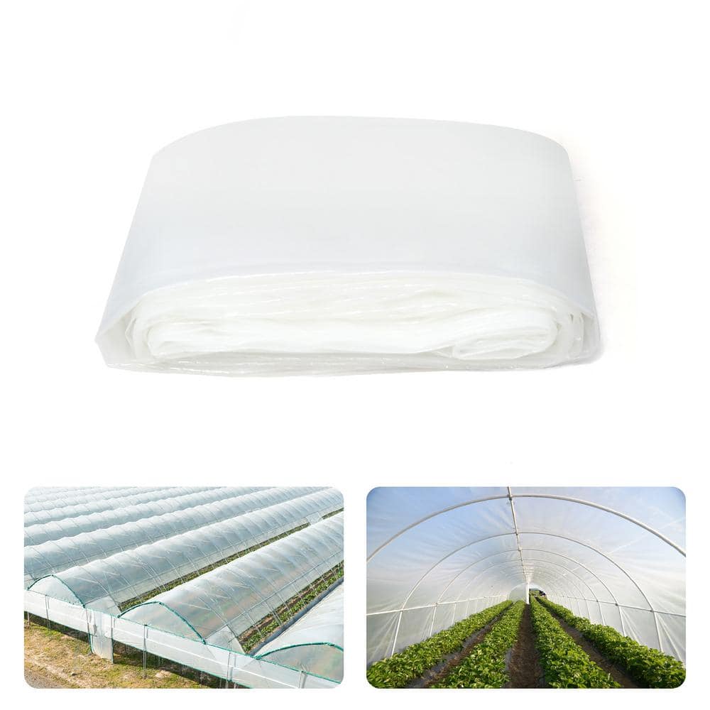 Fencer Wire 12 ft. x 28 ft. 6 mil Clear Greenhouse Plastic Sheeting, UV ...