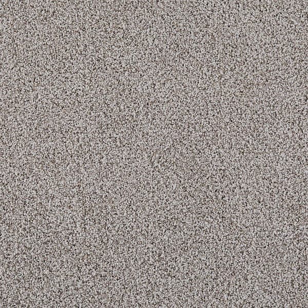 Lifeproof Velvetine I-Ember Brown-45 oz. SD Polyester Texture Carpet ...