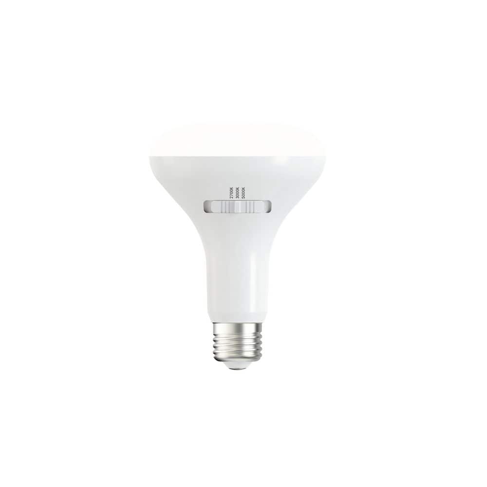 EcoSmart 65-Watt Equivalent BR30 Dimmable LED Light Bulb With ...