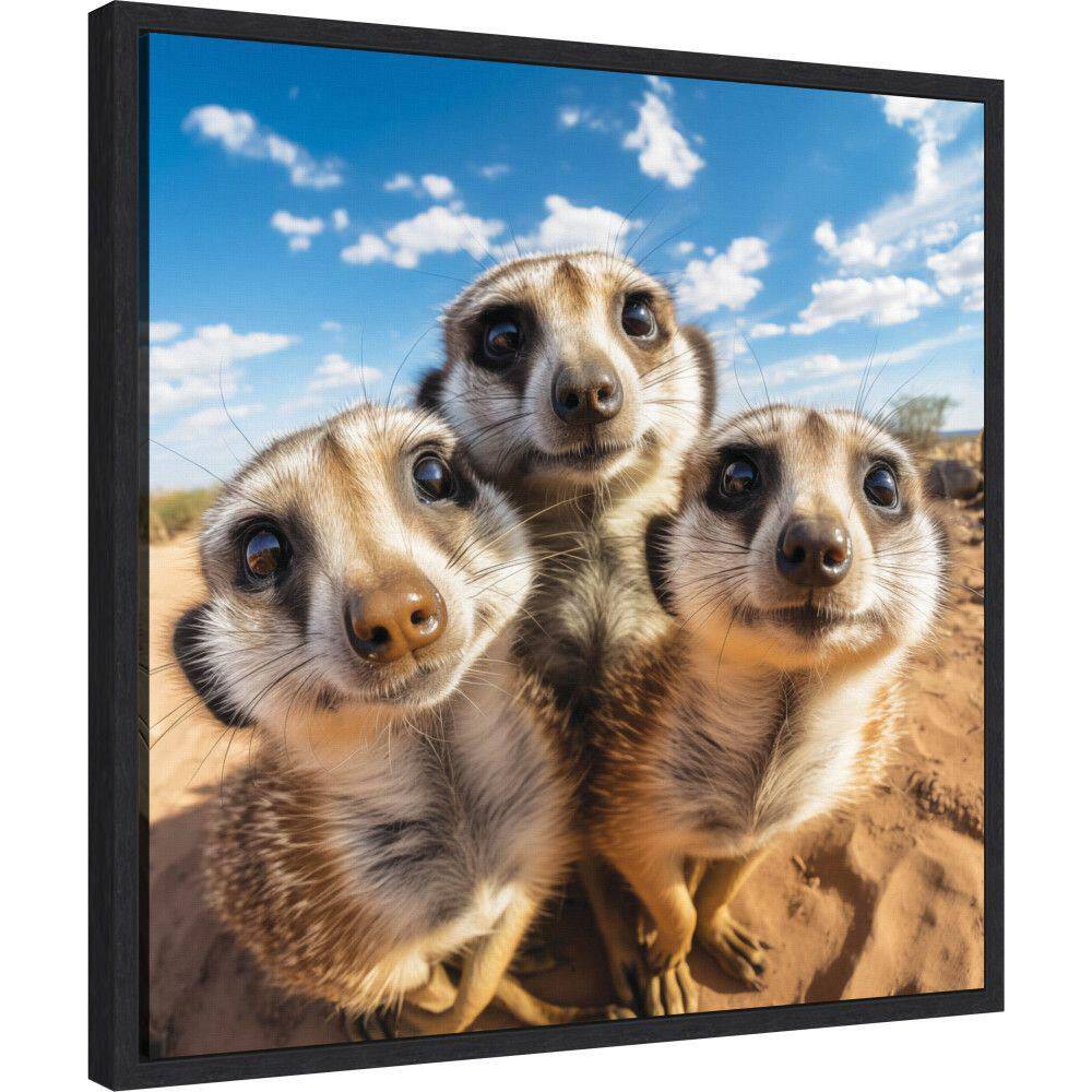 Kate and Laurel Sylvie Funny Animal Meercat Selfie by the Creative ...