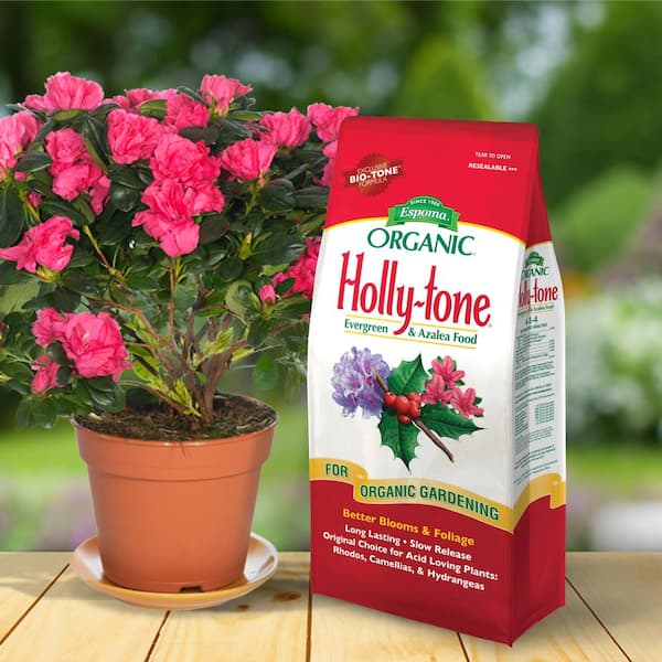 Holly tone fertilizer store