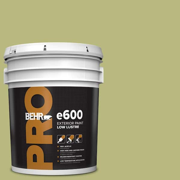 BEHR PRO 5 gal. #400D-5 Grass Cloth Low Luster Exterior Paint PR62305 ...