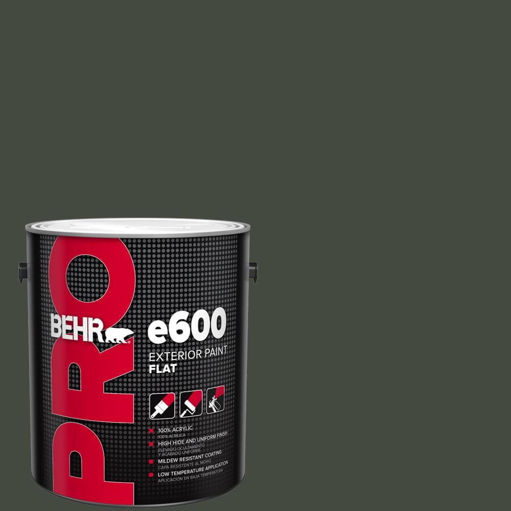 BEHR PRO 1 gal. #BXC-12 Deep Forest Flat Exterior Paint PR61301 - The ...