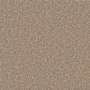 Home Decorators Collection 8 in. x 8 in. Texture Carpet Sample ...