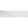 Florida Tile Home Collection Michelangelo Calacatta Bullnose 3 in. x 12 ...