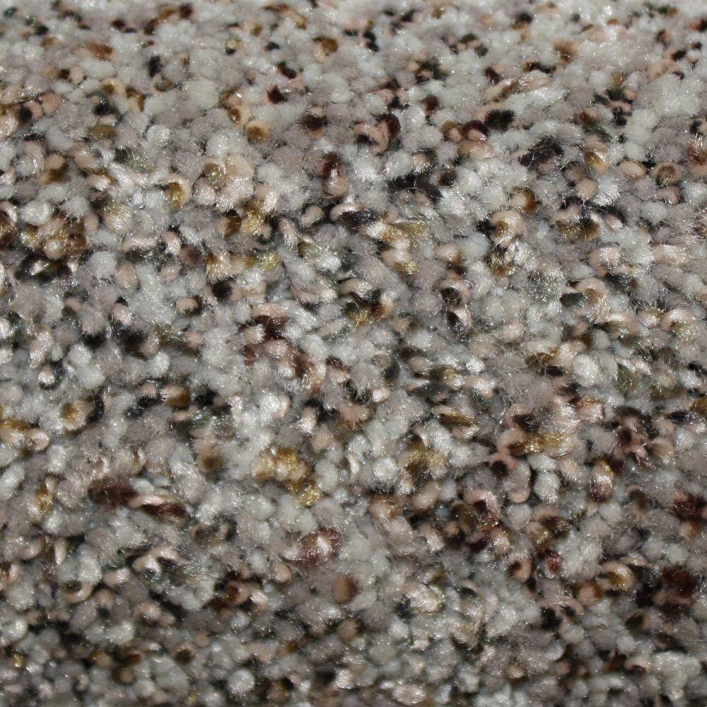 Platinum Plus Edenwilde I - Color Parkland 12 ft. Carpet HD011-10 - The ...