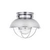Generation Lighting Sebring 1-Light Brushed Stainless Outdoor Flush Mount Light with Clear ...
