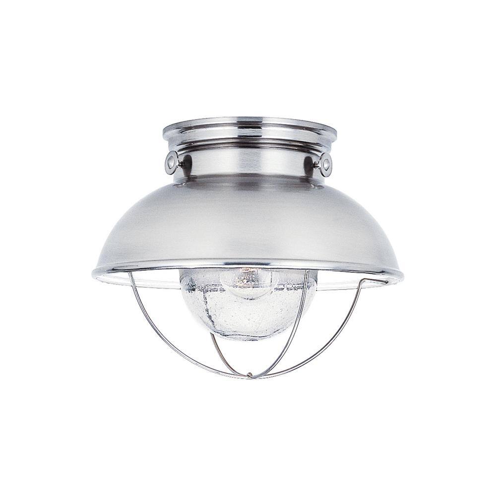 Generation Lighting Sebring 1-Light Brushed Stainless Outdoor Flush Mount Light with Clear ...