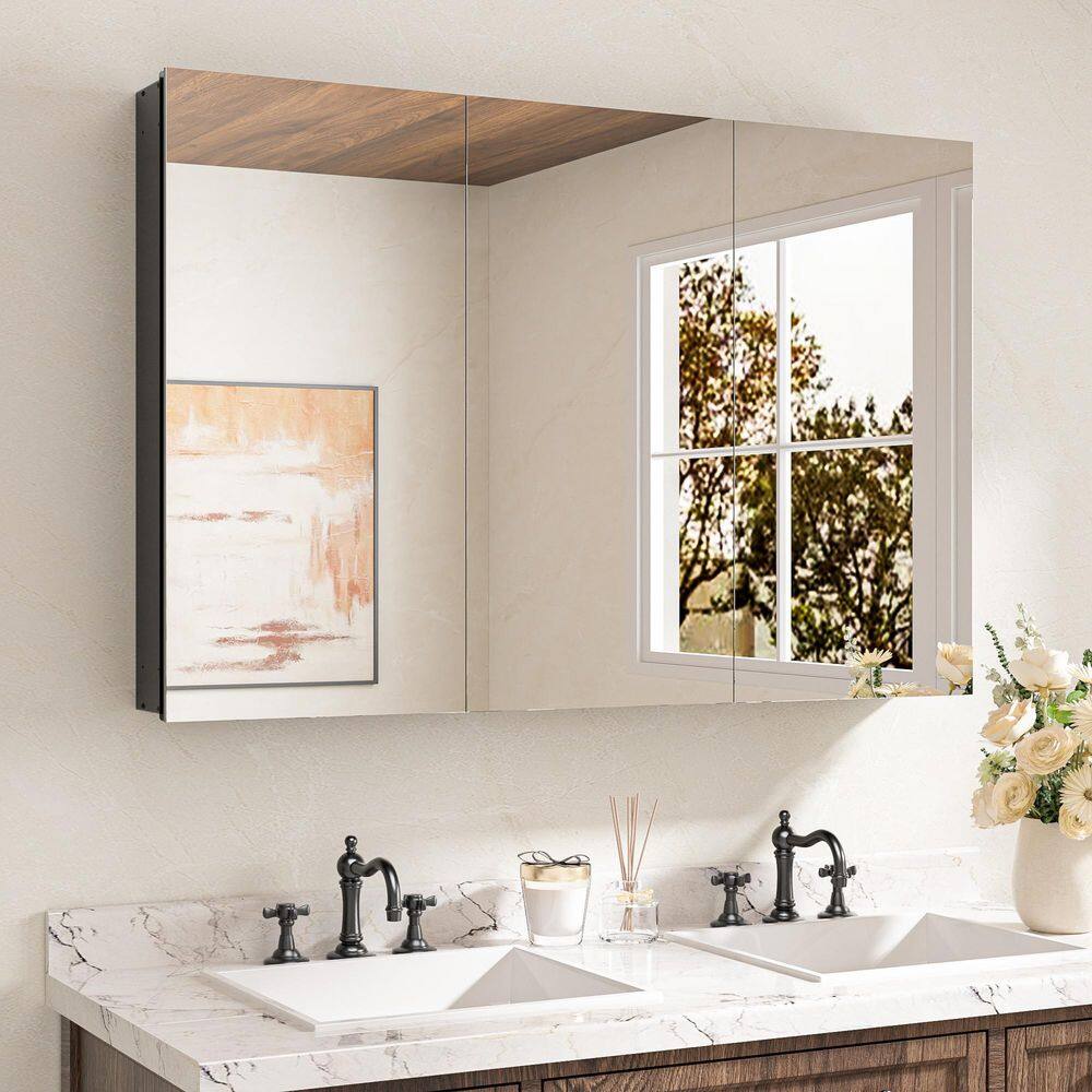 TETOTE 48 in. W x 32 in. H Rectangular Frameless Aluminum Black ...