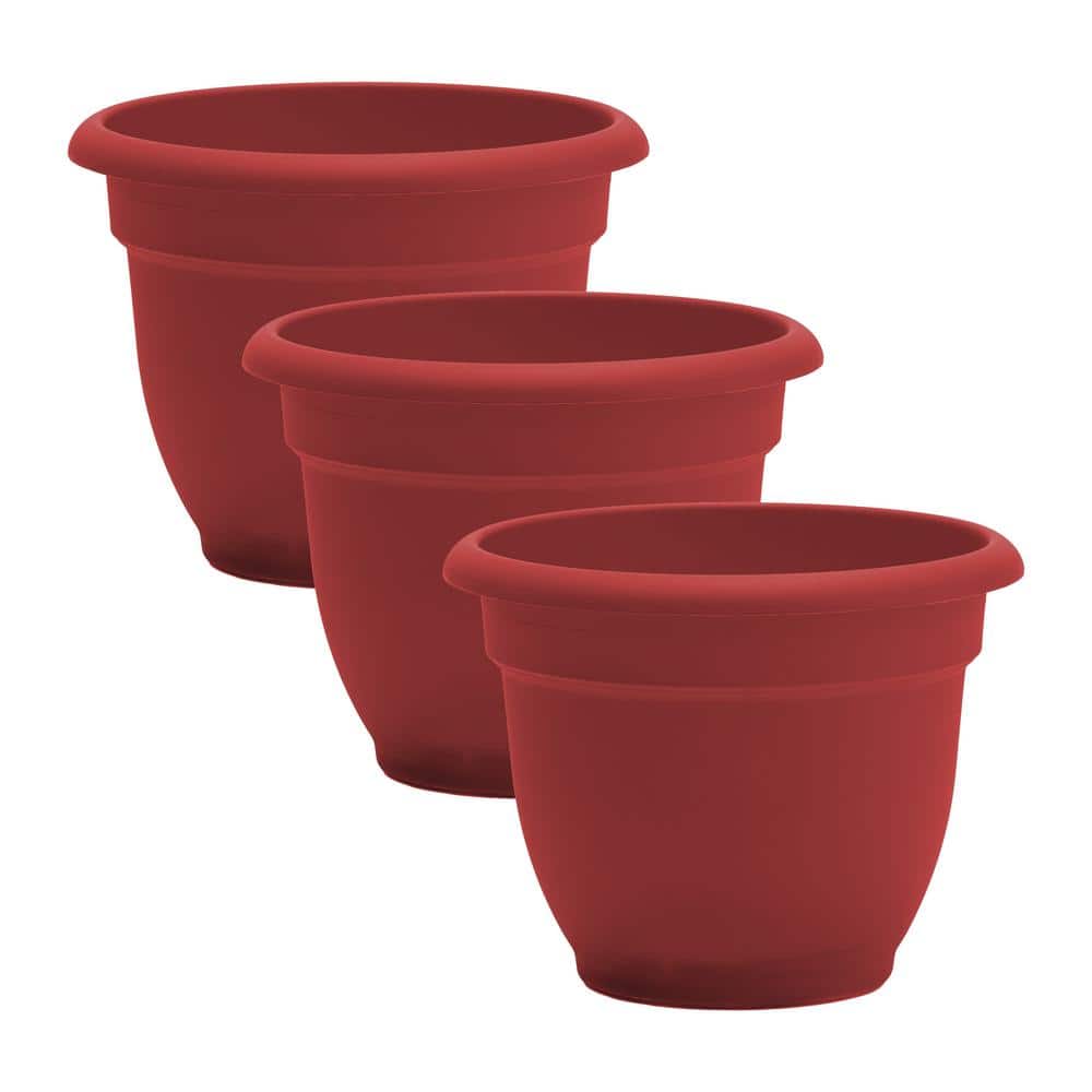 Bloem 6 in. Burnt Red Ariana Plastic Planters (3-Pack) DCB-APMIX9 - The ...