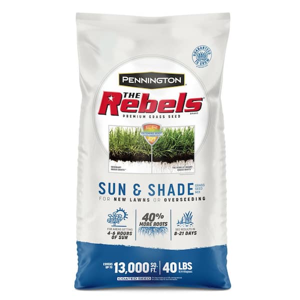 Pennington Kentucky 31-Tall Fescue Grass Seeds for Lawn 40 lbs. 8,000 ...