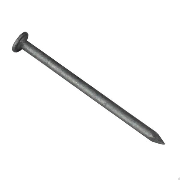 Everbilt 60D 6 in. Spike Bright 50 lbs. 868610 - The Home Depot