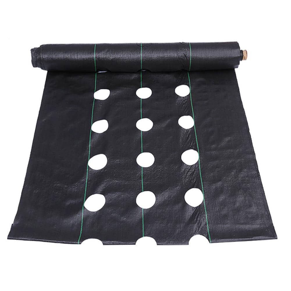 Agfabric 3 ft. x 12 ft. Weed Control Fabric Planting Holes for ...