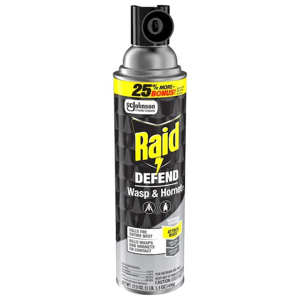 Raid Wasp and Hornet Killer, Stinging Bug Insecticide for Outdoor Use ...