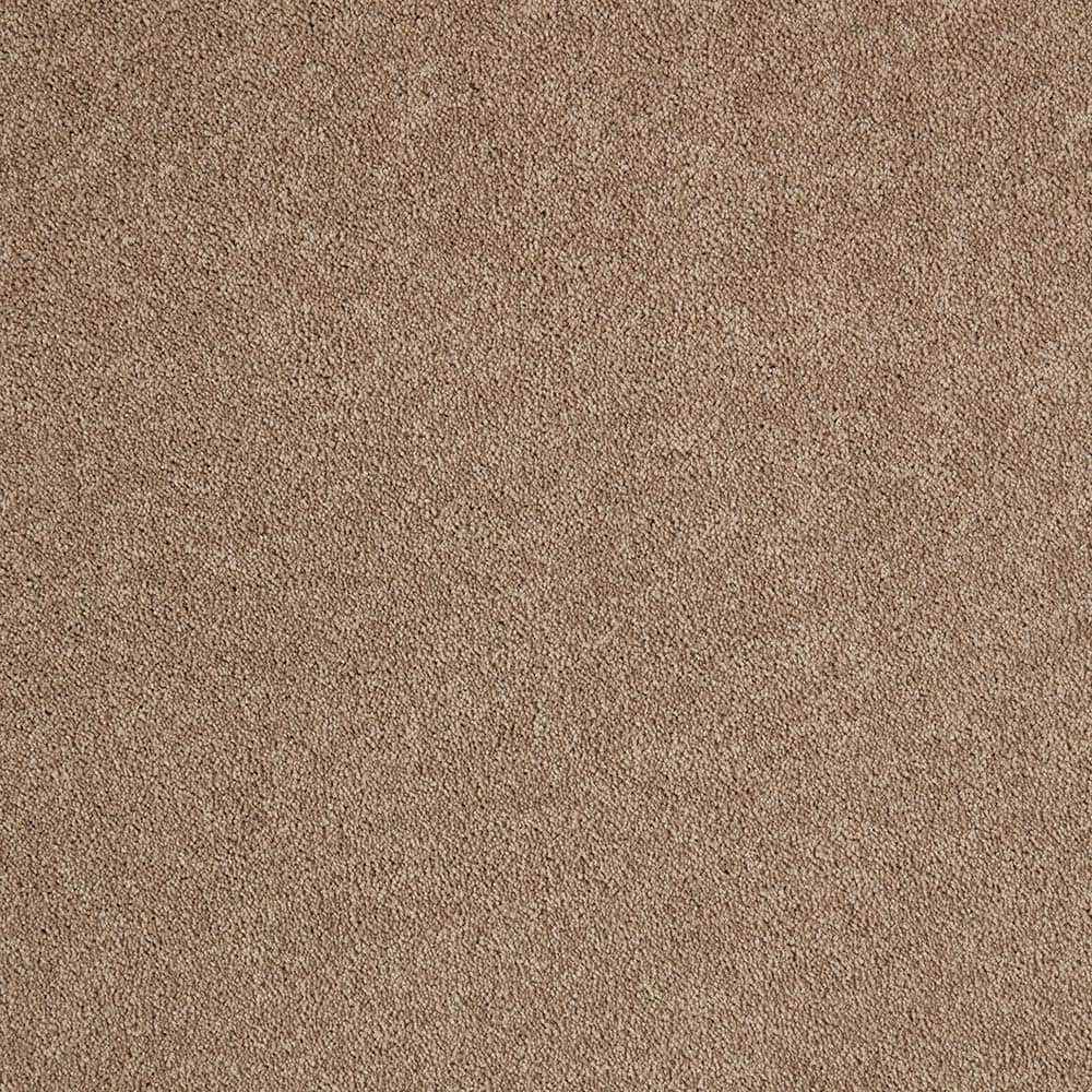 Reviews for Home Decorators Collection Gemini II - Romano - Brown 56 oz ...