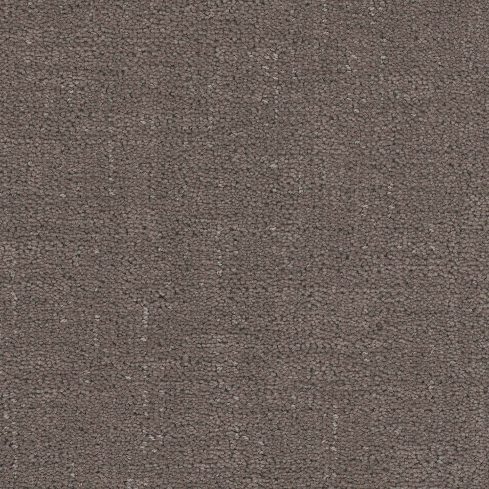 Reviews for Home Decorators Collection Wheatfield - Mink - Brown 34 oz ...
