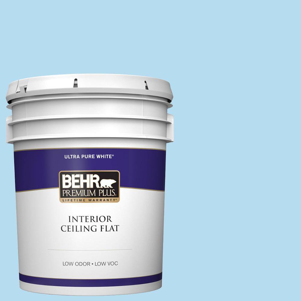 BEHR PREMIUM PLUS 5 gal. #P500-2 Seashore Dreams Ceiling Flat Interior ...
