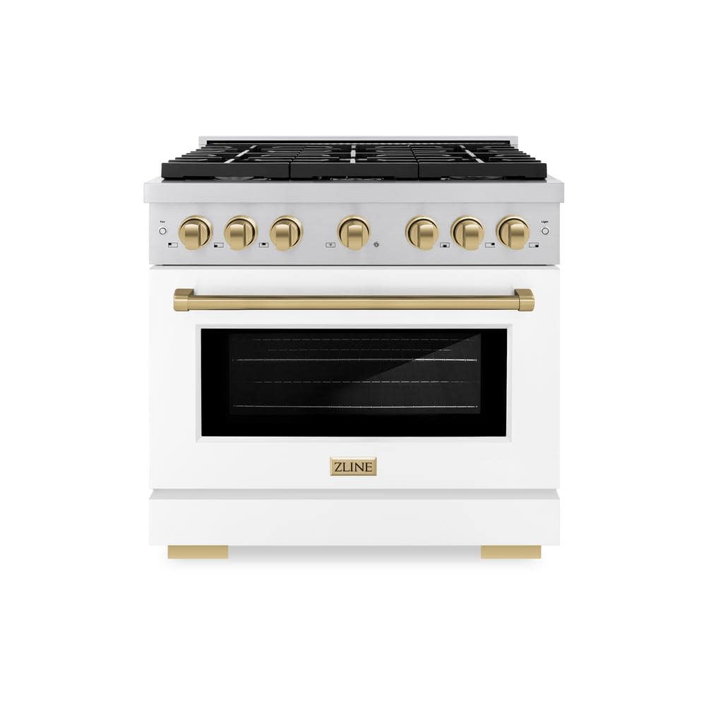 ZLINE Kitchen and Bath Paramount 36 in. 6-Burner Dual Fuel Range with ...