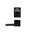 Defiant Castle Matte Black Touchpad Single Cylinder Deadbolt with ...