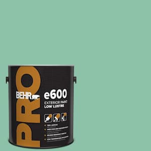 BEHR PRO 5 gal. #HDC-WR14-8 Spearmint Frosting Low Luster Exterior ...