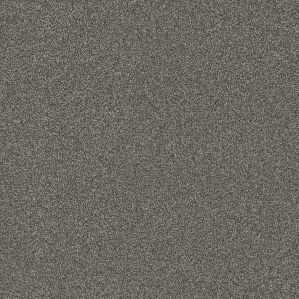 Home Decorators Collection 8 in. x 8 in. Texture Carpet Sample ...