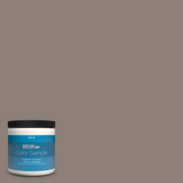 BEHR PREMIUM PLUS 8 oz. Home Decorators Collection #HDC-NT-27B Wild ...