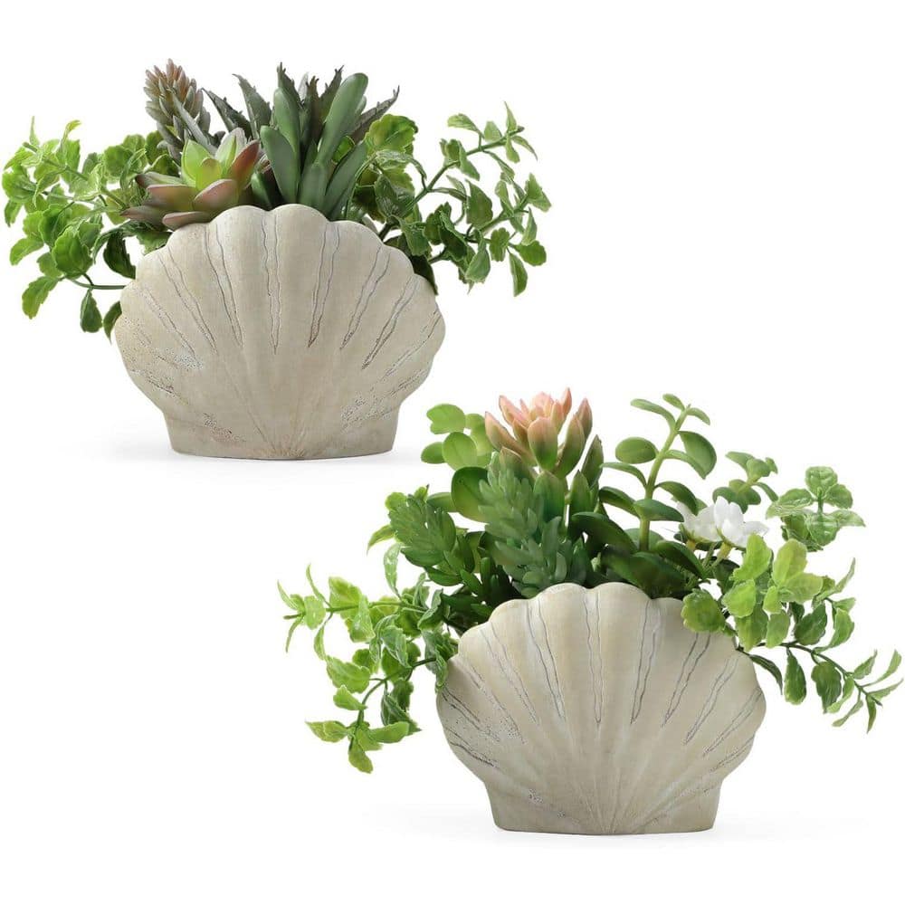 7.87 in. Beige Indoor Artificial Succulent Plant Set with Shell Pot ...