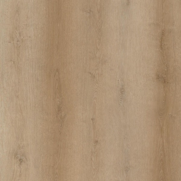 Home Decorators Collection Take Home Sample-Grand Palais Oak Click Lock ...