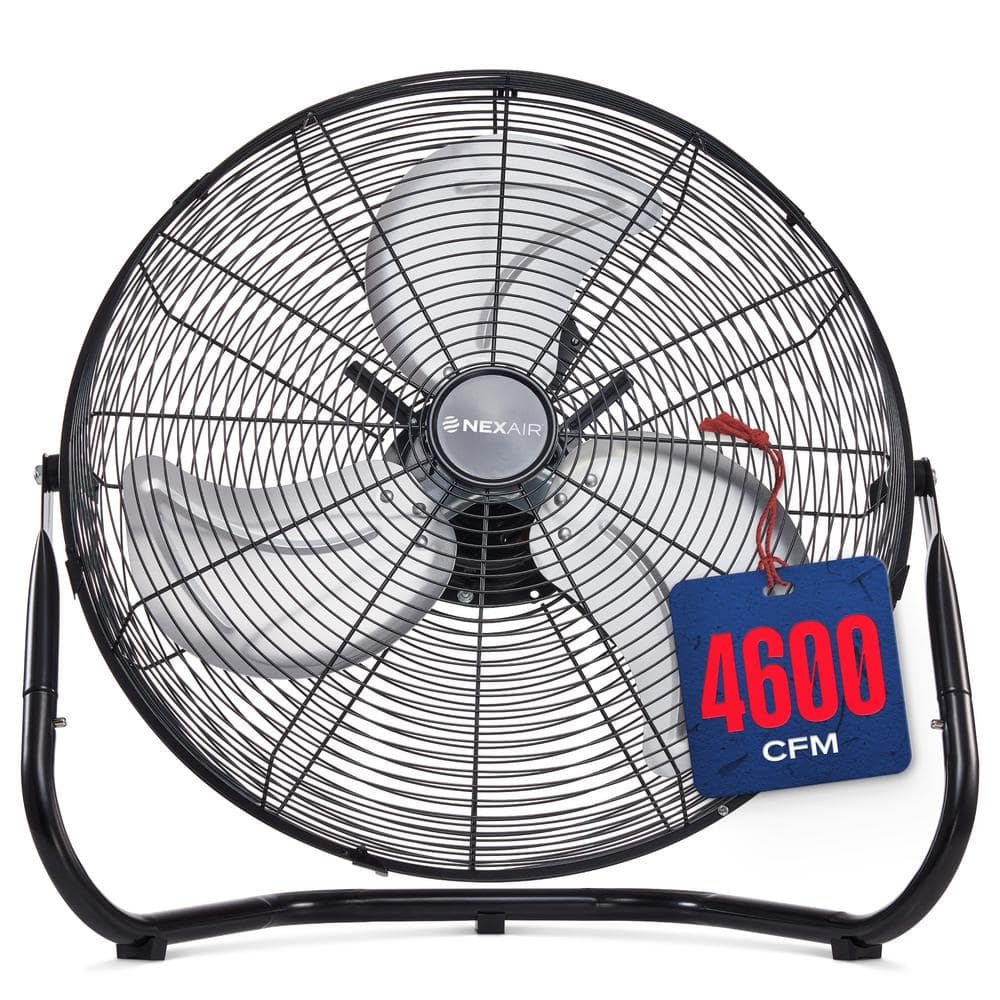NEXAIR 20 in. 3 Fan Speeds Floor Fan in Black Metal with High Velocity ...
