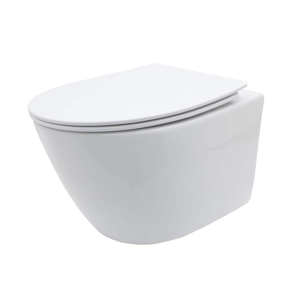 Amucolo Wall Hung Toilet Bowl, Elongated Toilet Wall Mounted in White ...
