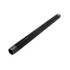 2 in. x 10 ft. Black Steel Sch. 40 Pipe GS210BTBE - The Home Depot