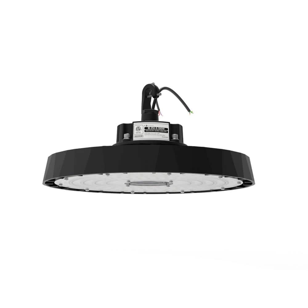 InfiBrite 10.2 in. 5000K Daylight 16,000 Lumens 100-Watt Integrated LED ...