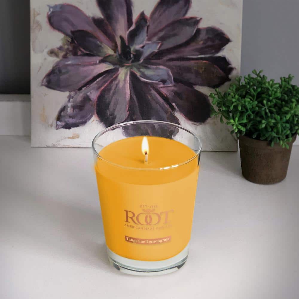 ROOT CANDLES Veriglass Tangerine Lemongrass Scented Filled Jar Candle ...