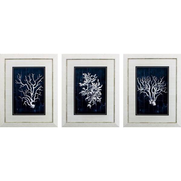 Paragon Wood Coral Blue NA 3-Piece Framed Nature Poster 28 in. x 22 in ...