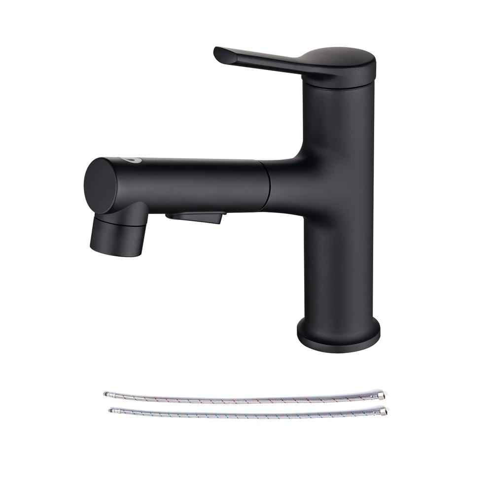 RAINLEX Single-Handle Single Hole Bahtroom Faucet with Deckplate and ...
