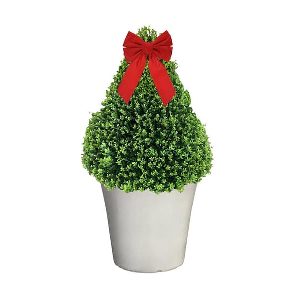 3 Gal. Holly Cone Evergreen Holiday Shrub in Decorative White Pot with ...