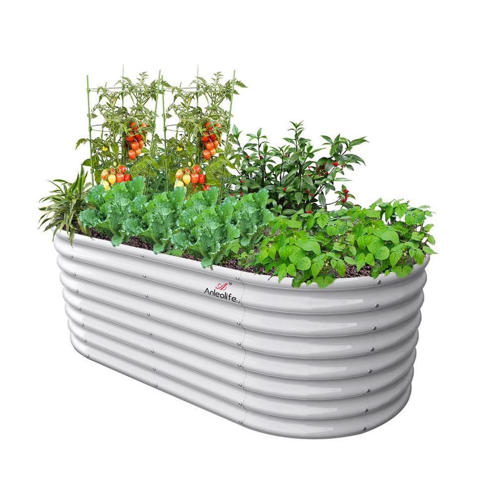 Cesicia 6 ft. L x 3 ft. W x 2 ft. H Outdoor White Galvanized Steel ...