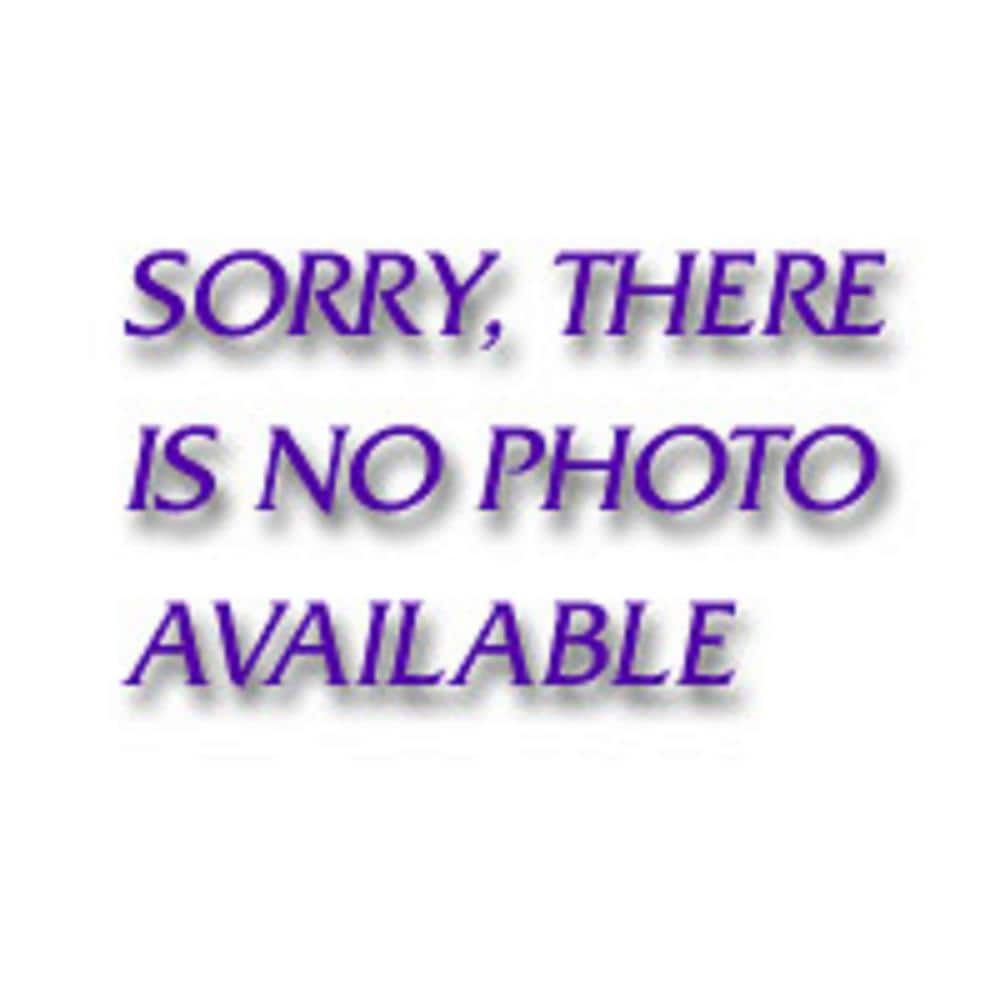 Lisle Clevis Pin for 51450 Harmonic Damper Pulley Pullers LIS49520 ...