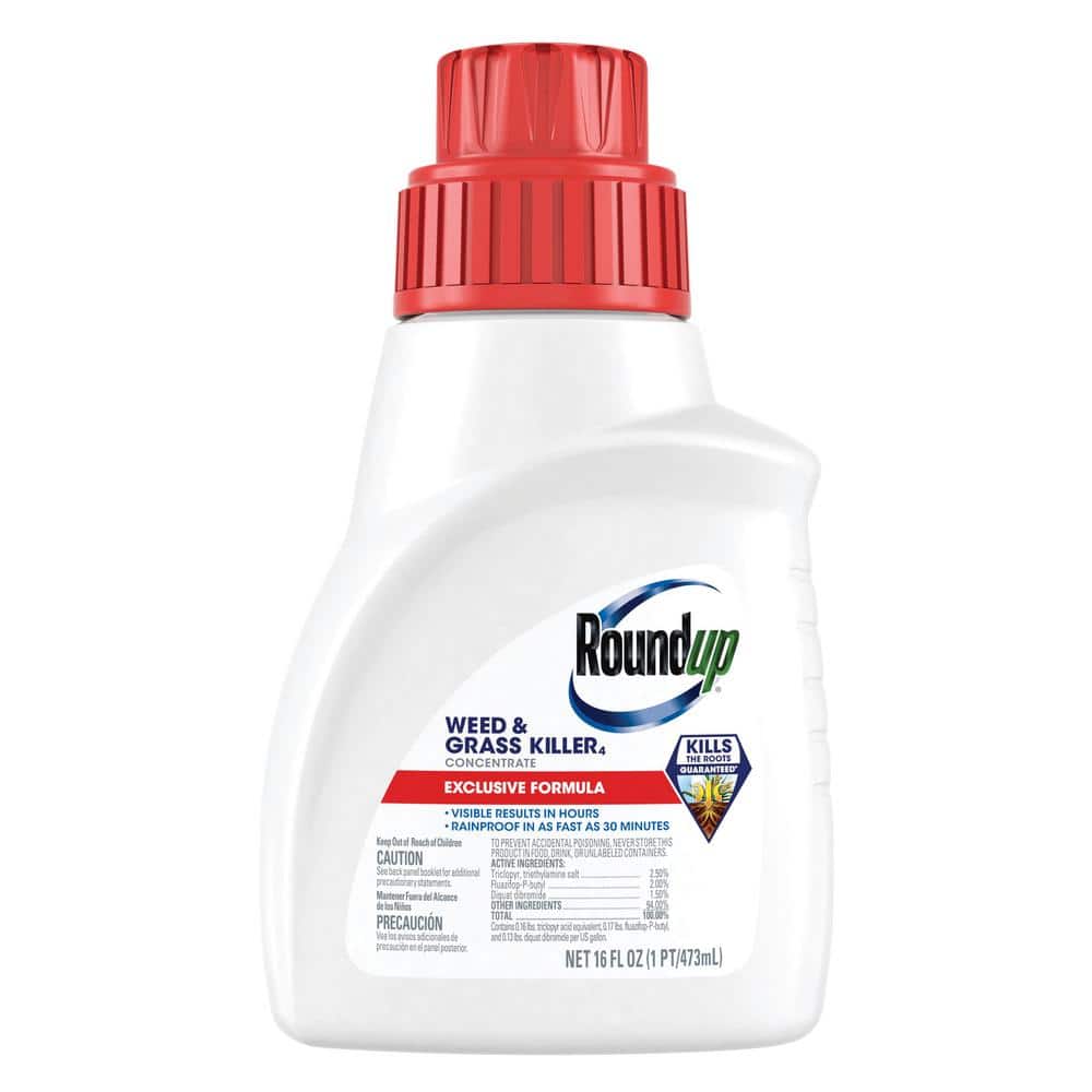 Roundup 16 fl. oz. Weed and Grass Killer Concentrate, Use in and Around Flower Beds, Walkways ...