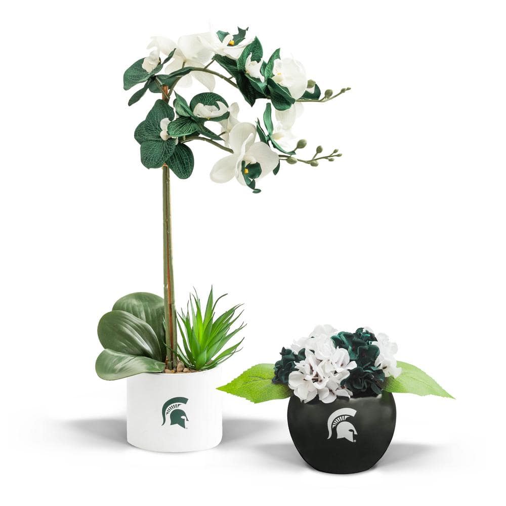 FOREVER LEAF 17 in. MSU Spartans Artificial Orchid Plant and Hydrangea ...