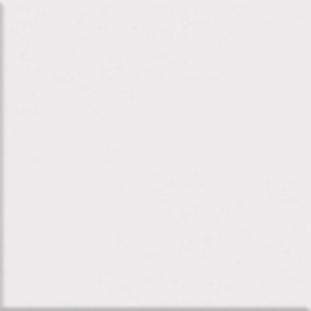 Have a question about Roca Casablanca Solid White 8 in. x 8 in. Matte ...