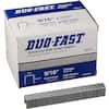 Duo-Fast 5018C 5000 Series 20-Gauge, 1/2 in. Crown, 9/16 in. Leg Fine ...