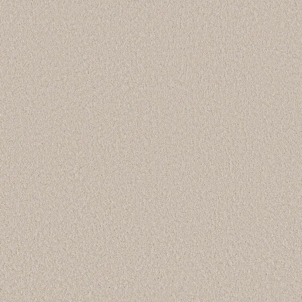 TrafficMaster 8 in. x 8 in. Texture Carpet Sample - Vignette Velvet I ...