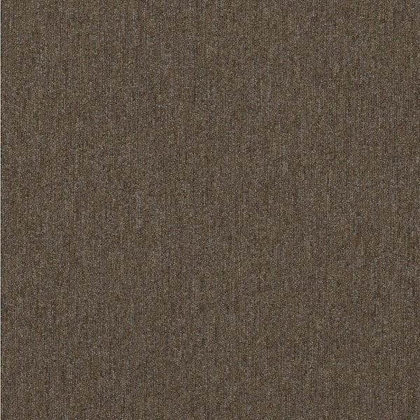 Shaw Floors Hampton - Pewter - Gray Commercial/Residential 24 x 24 in ...