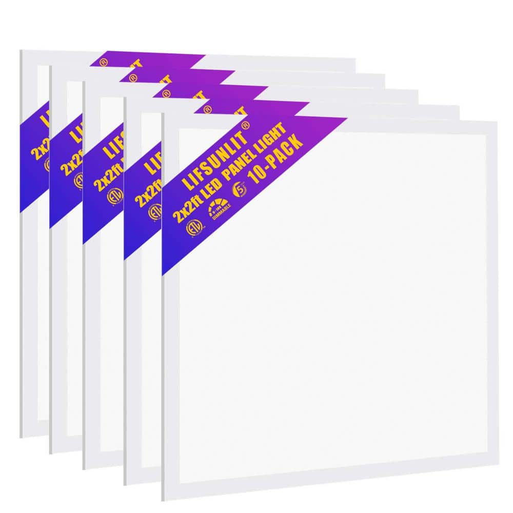 Honbei 2 ft. x 2 ft. 5800 Lumens Integrated LED Panel Light, 5000K 2x2 ...