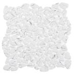 ANDOVA Pixie Aura White/Light Gray 12-1/8 in. x 12-1/8 in. Penny Round Smooth Glass Mosaic Tile ...