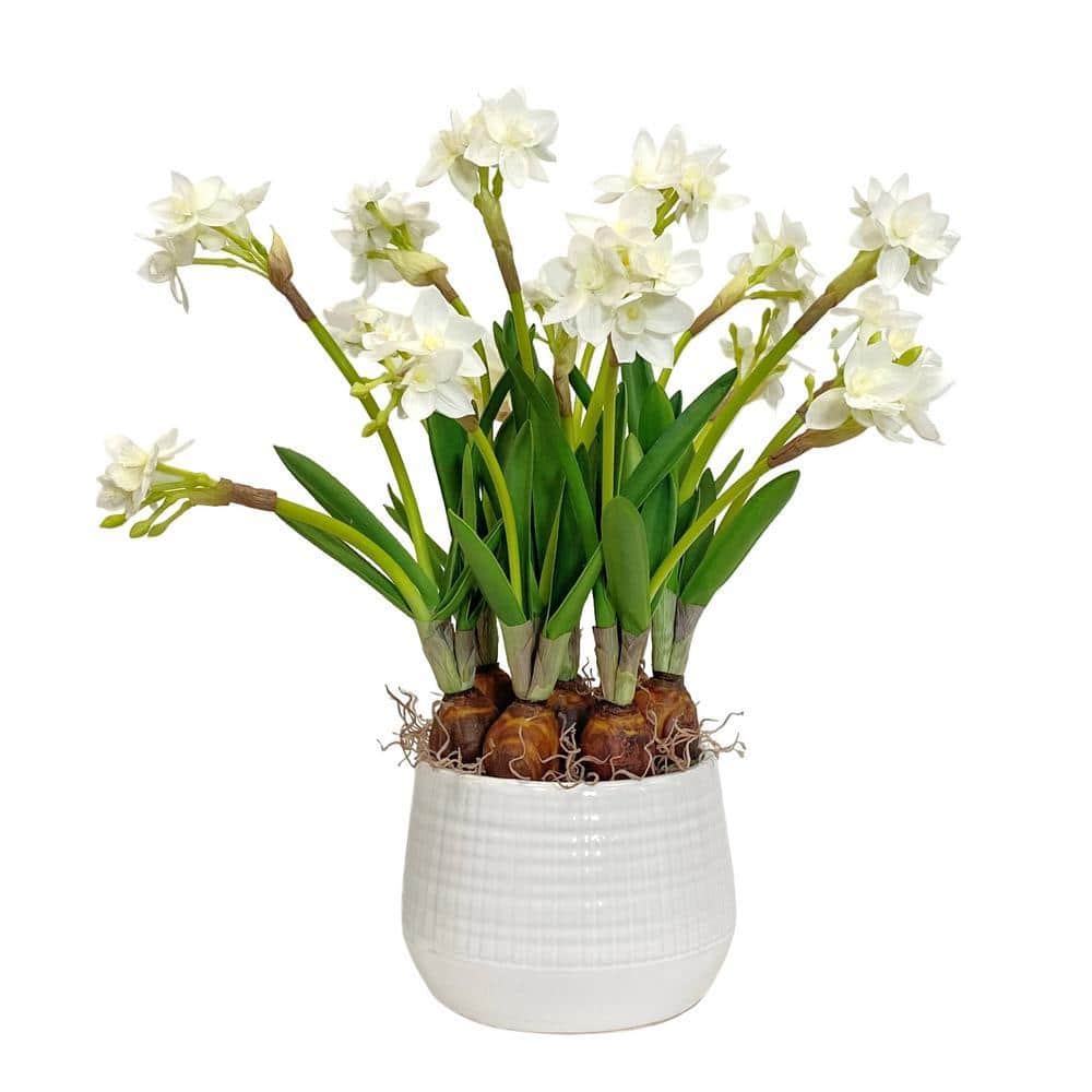 Jane Seymour Botanicals 19 in. White Indoor Artificial Paper White in ...